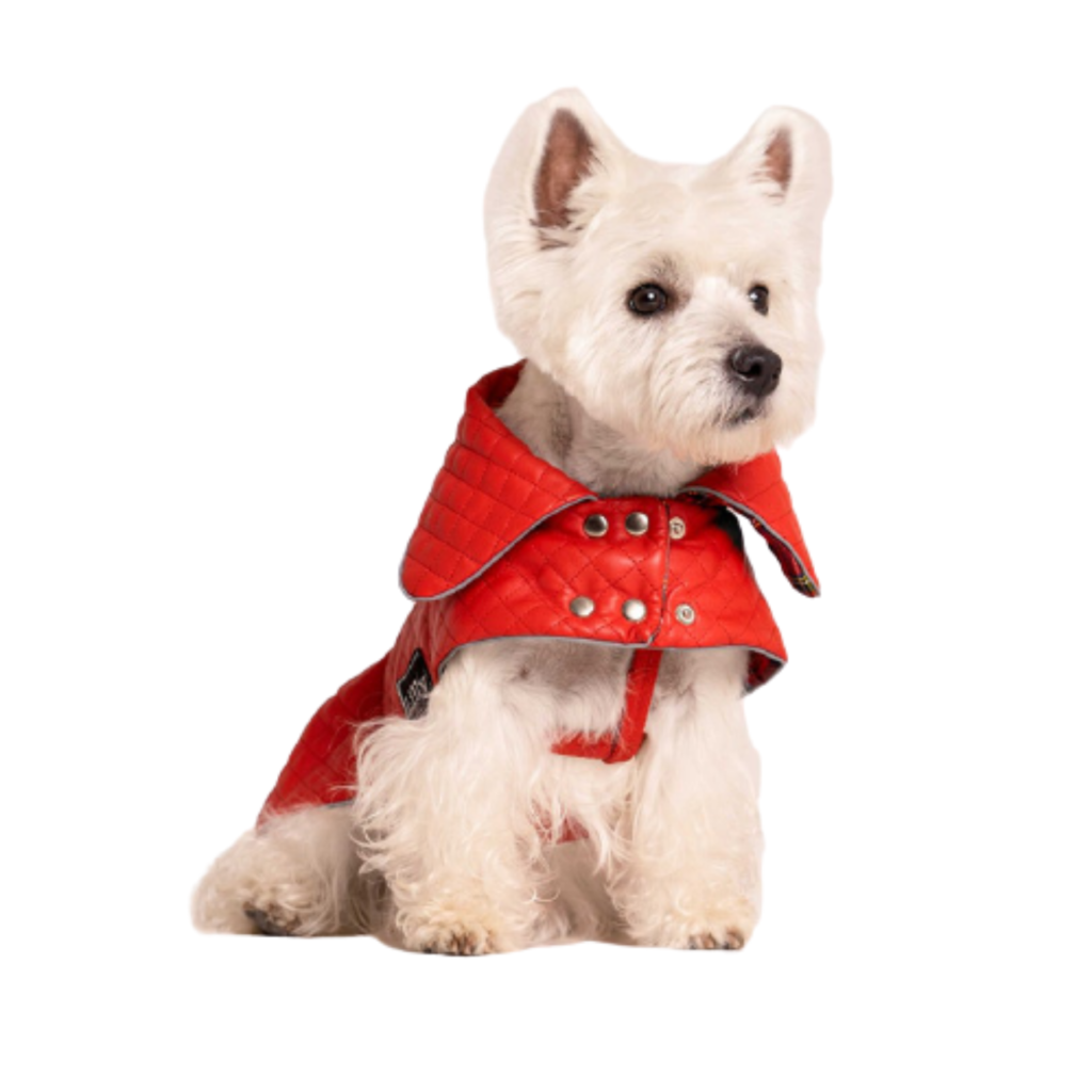 Yellow Vinyl Dog Raincoat - Hugs for Your Dog