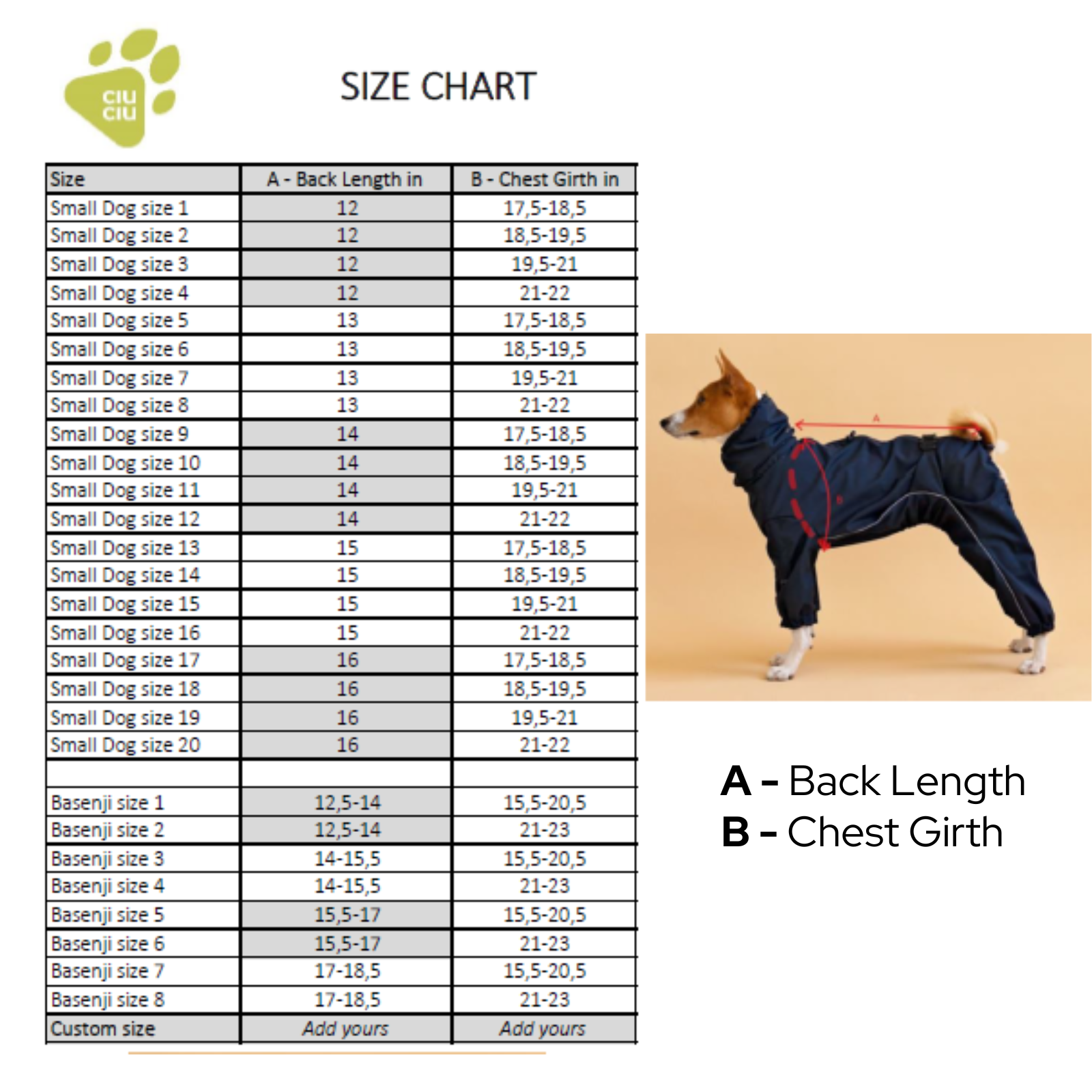 How to measure your dog for clothes: a step by step guide