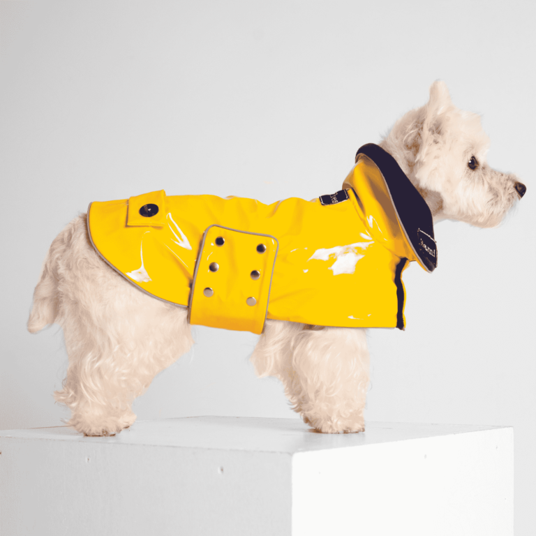 Yellow Vinyl Dog Raincoat - Hugs for Your Dog, since 2015